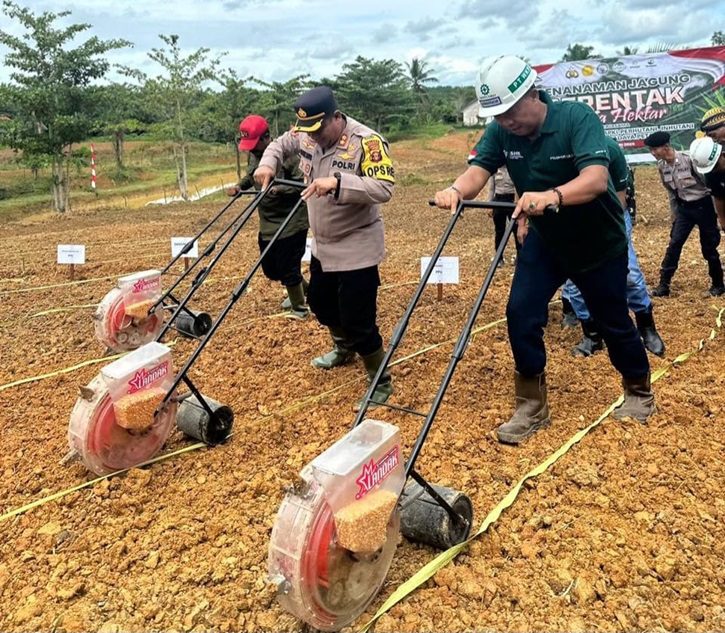 Tanam Jagung Serentak, Perusahaan Sawit Grup Astra Agro Dukung Program Swasembada Pangan 2025 ...