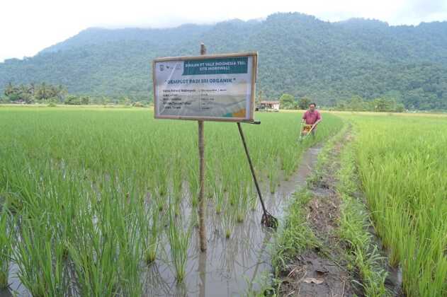 PT Vale Gelontorkan Puluhan Miliar untuk Dukung Program PPM Berkelanjutan di Morowali - Radar Palu