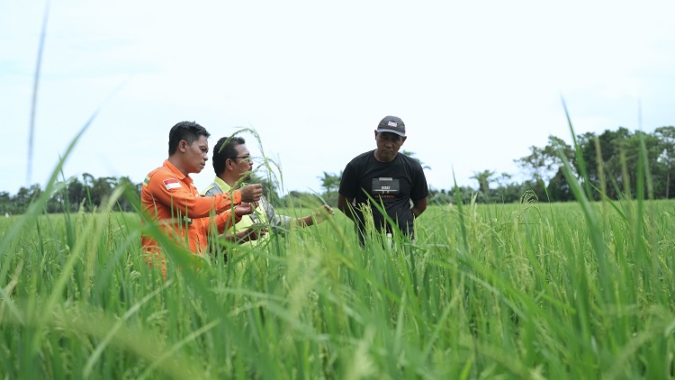 PT Vale Hadirkan Livelihood Restoration Program di Pomalaa, Dorong ...